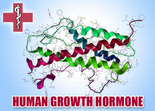 HGH Prescription - Injectable HGH On Prescription