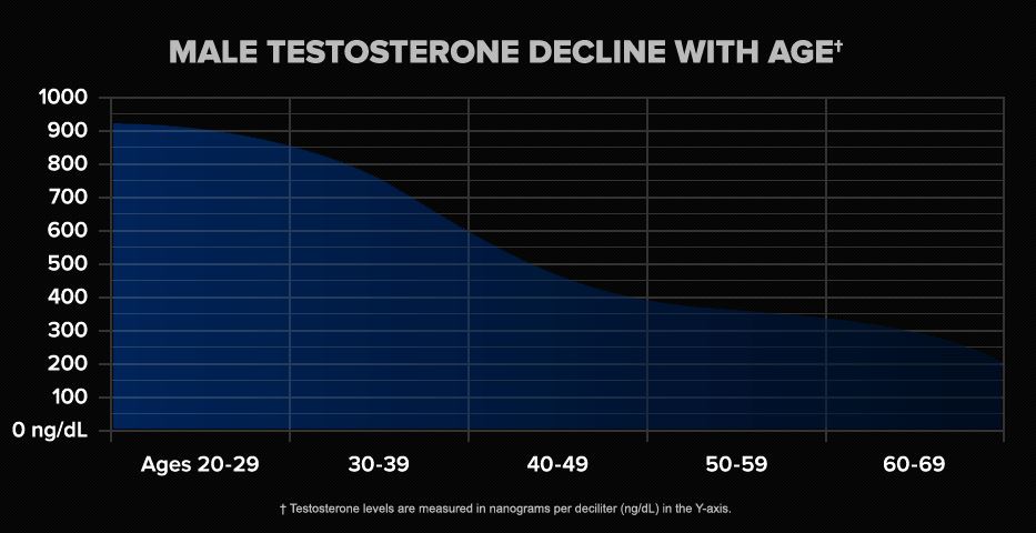 Testosterone and Aging