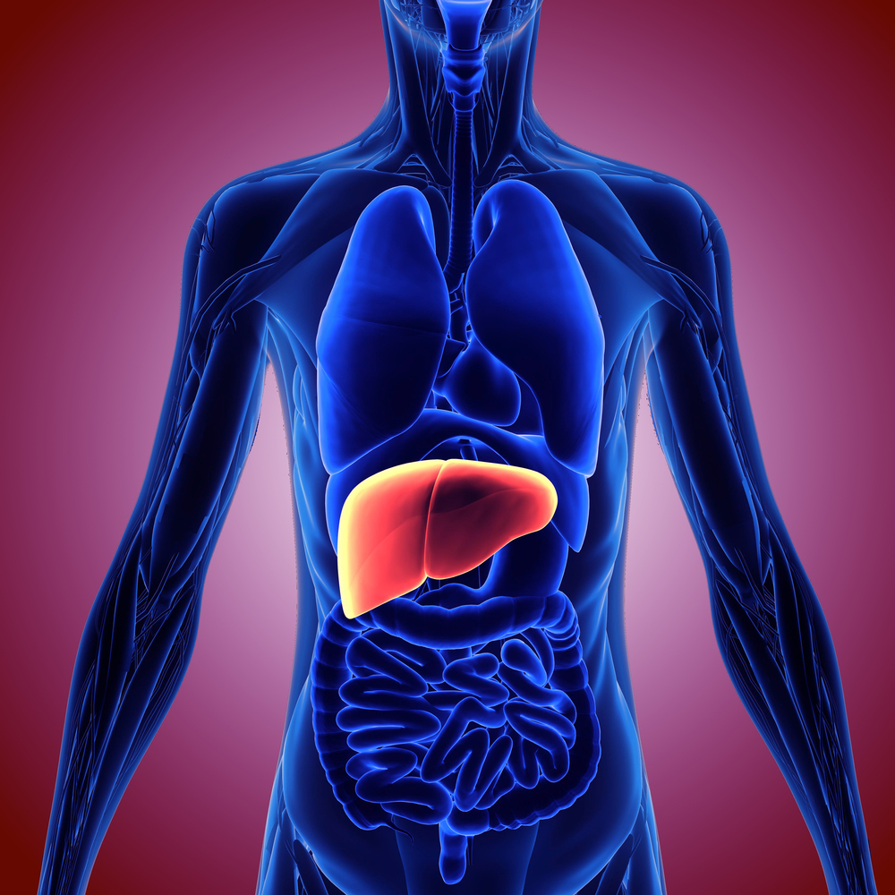 Fatigue And Bouts Of Tiredness - Could Be In Your Hormones And Liver