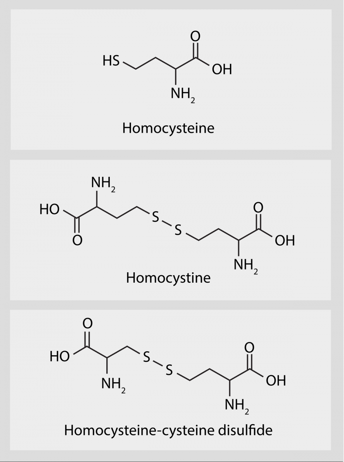 Male Hormone Blood Panel at LabCorp or Quest Diagnostics is $299